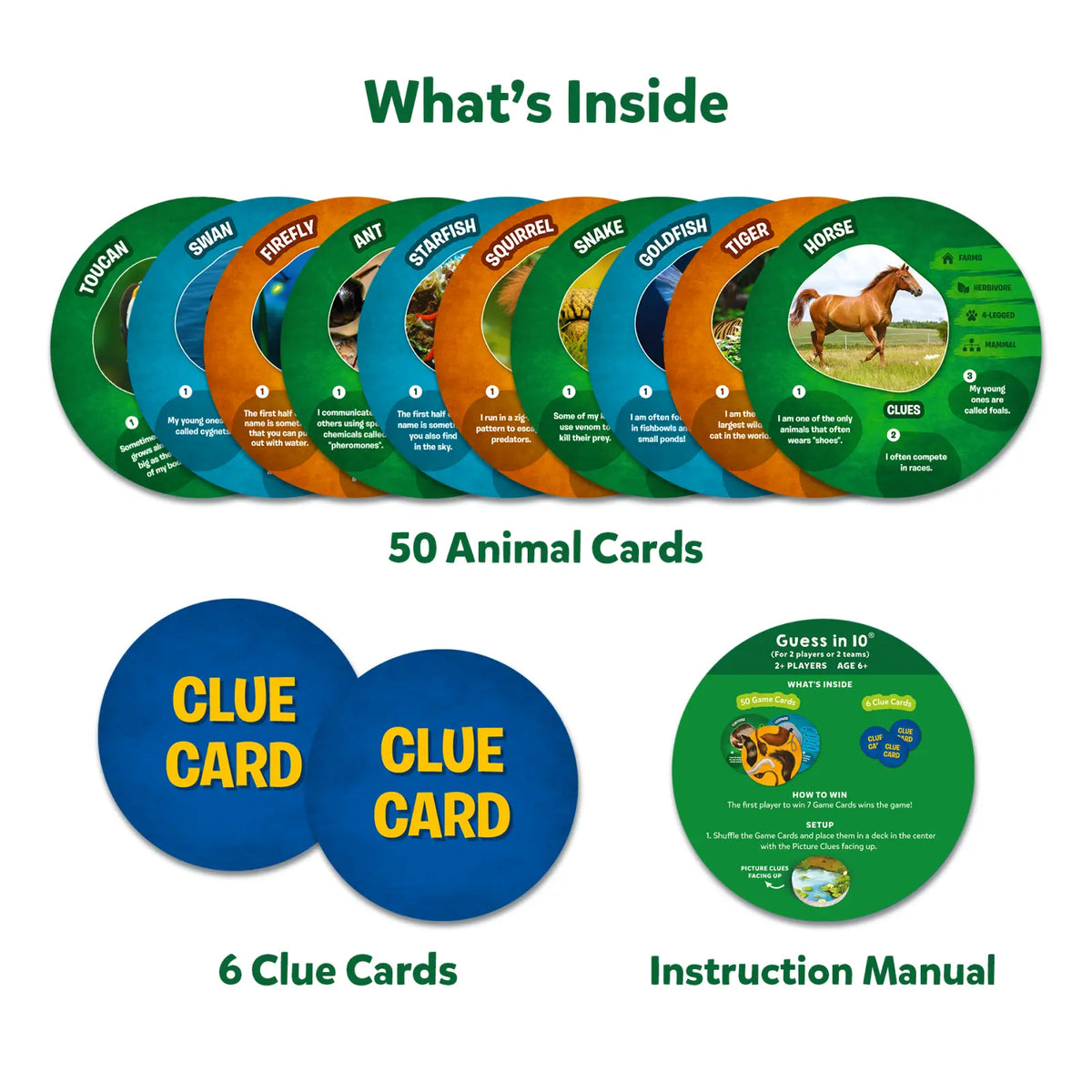 Animal Trivia Cards Set - Buy Animal Picture Clue Card Game (Ages 6+)