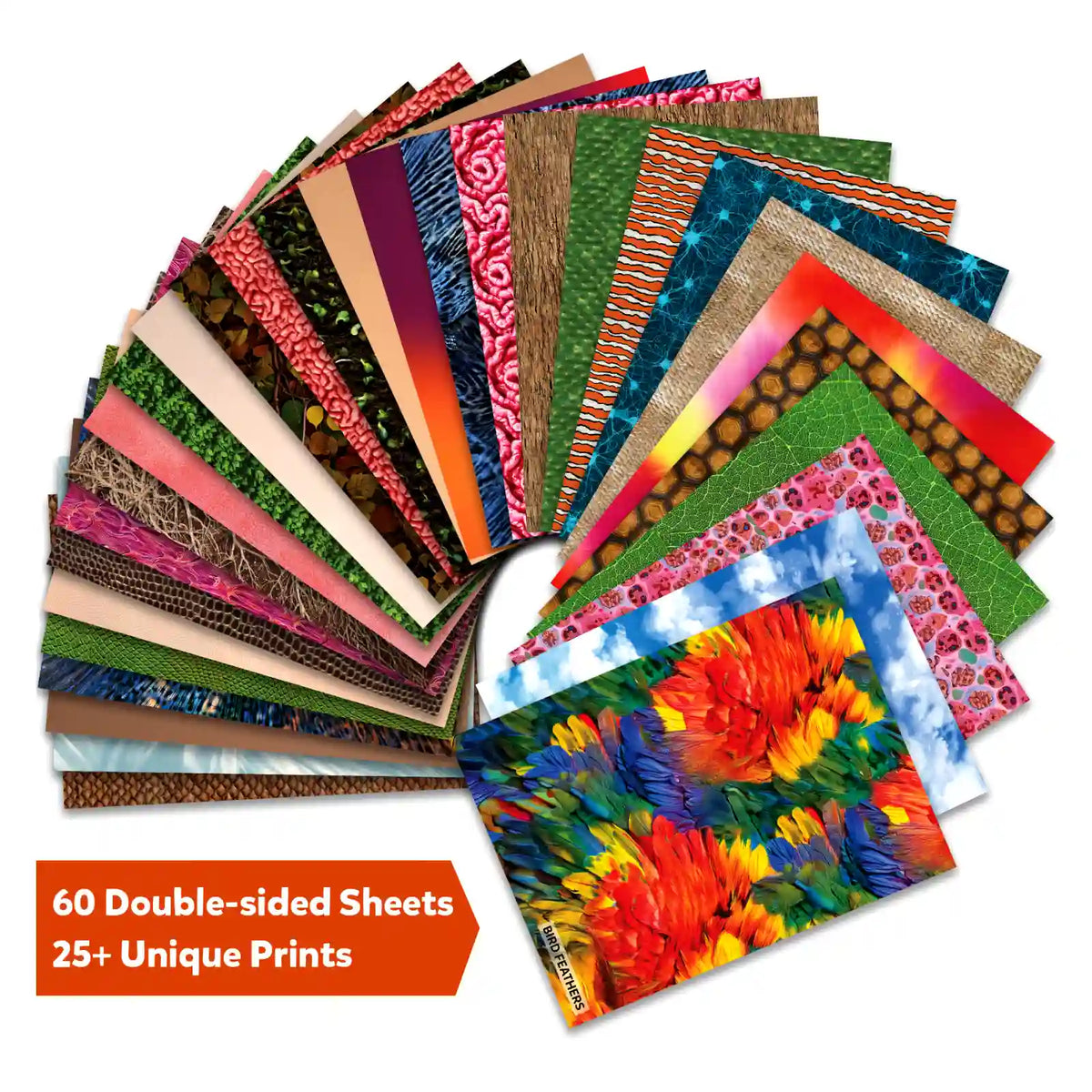 Clever Prints: Life Science | Construction Paper (60 Sheets)